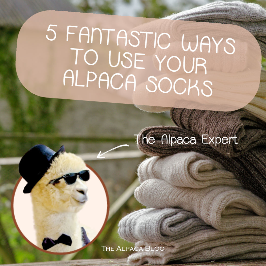 Inkari - The 5 most original ways to use alpaca socks during Autumn