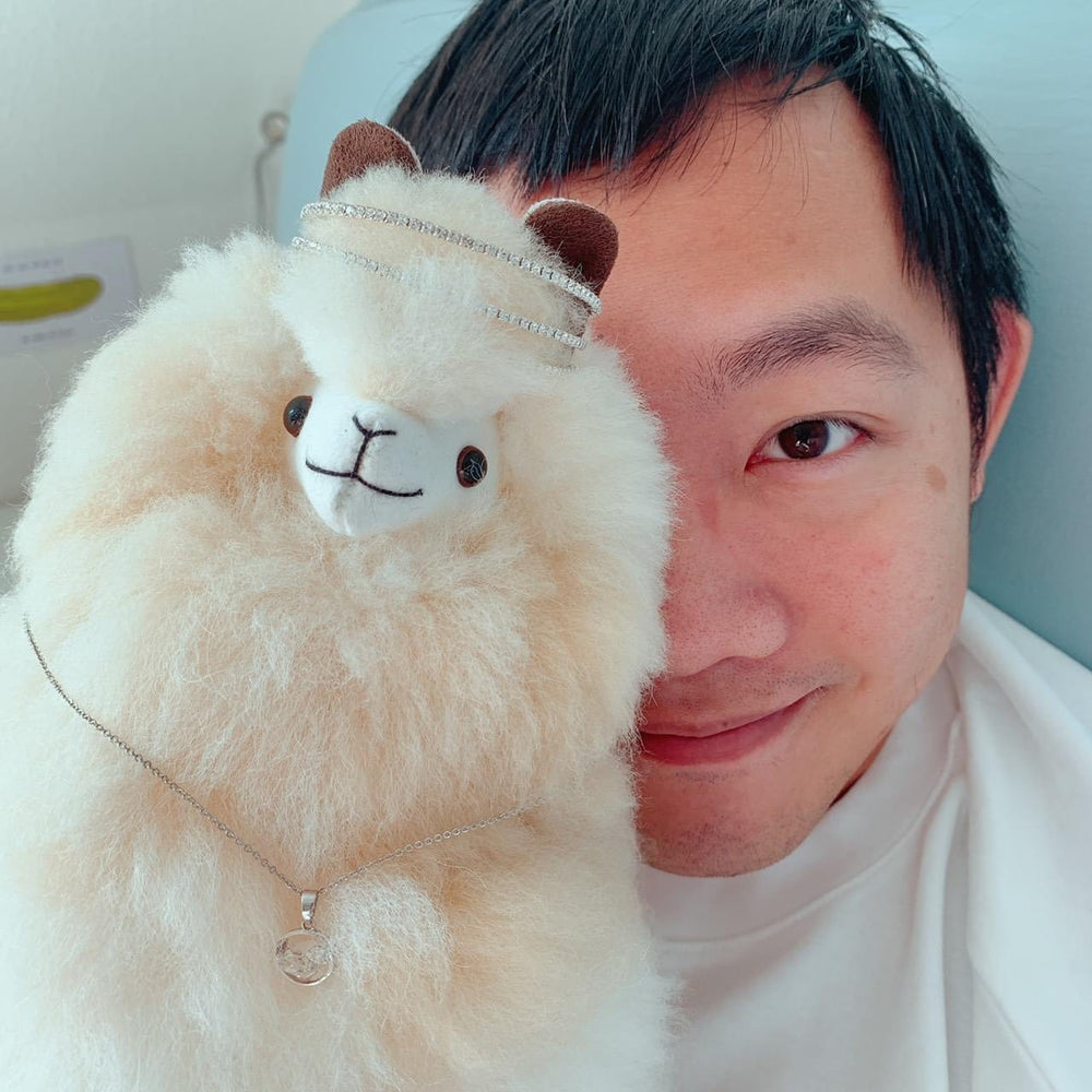 INKARI Alpaca - Shipping Information - Time, Tracking & Cost