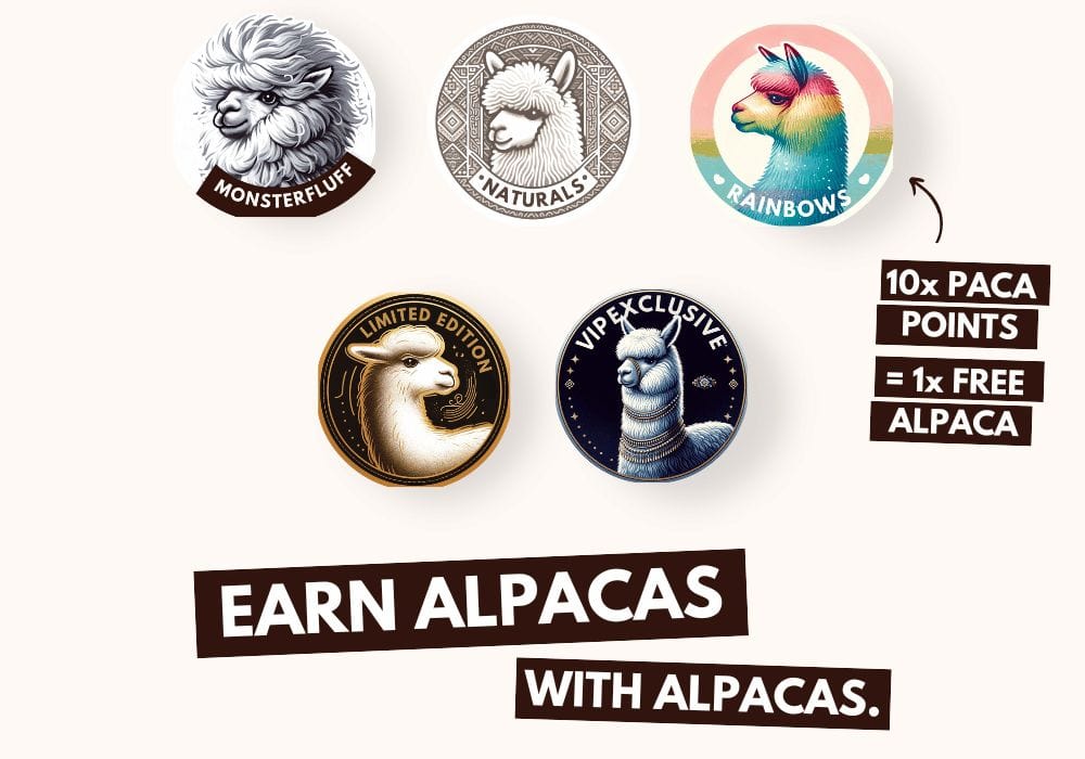 Family Packs & Bundles